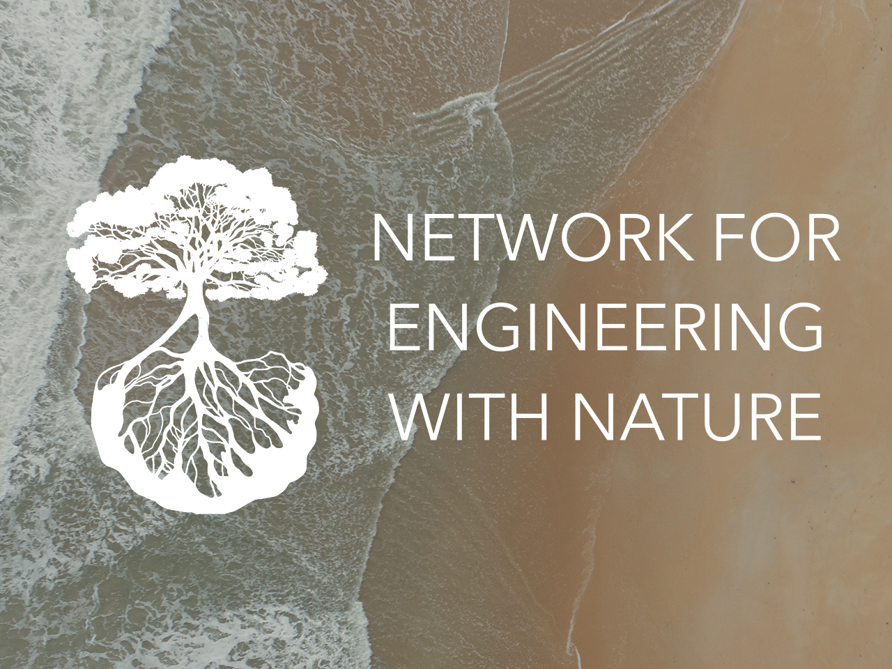 Taylor Engineering Announces Partnership with the Network for ...